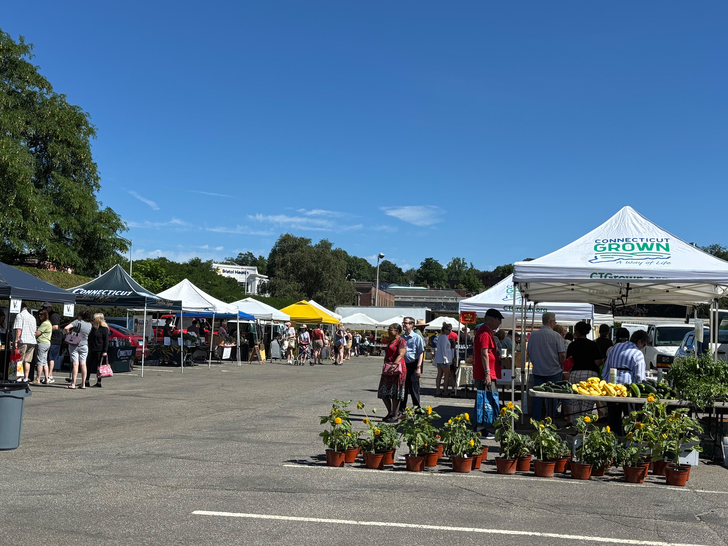 Celebrating National Farmers Market Week – The Bristol Farmers Market, Inc.